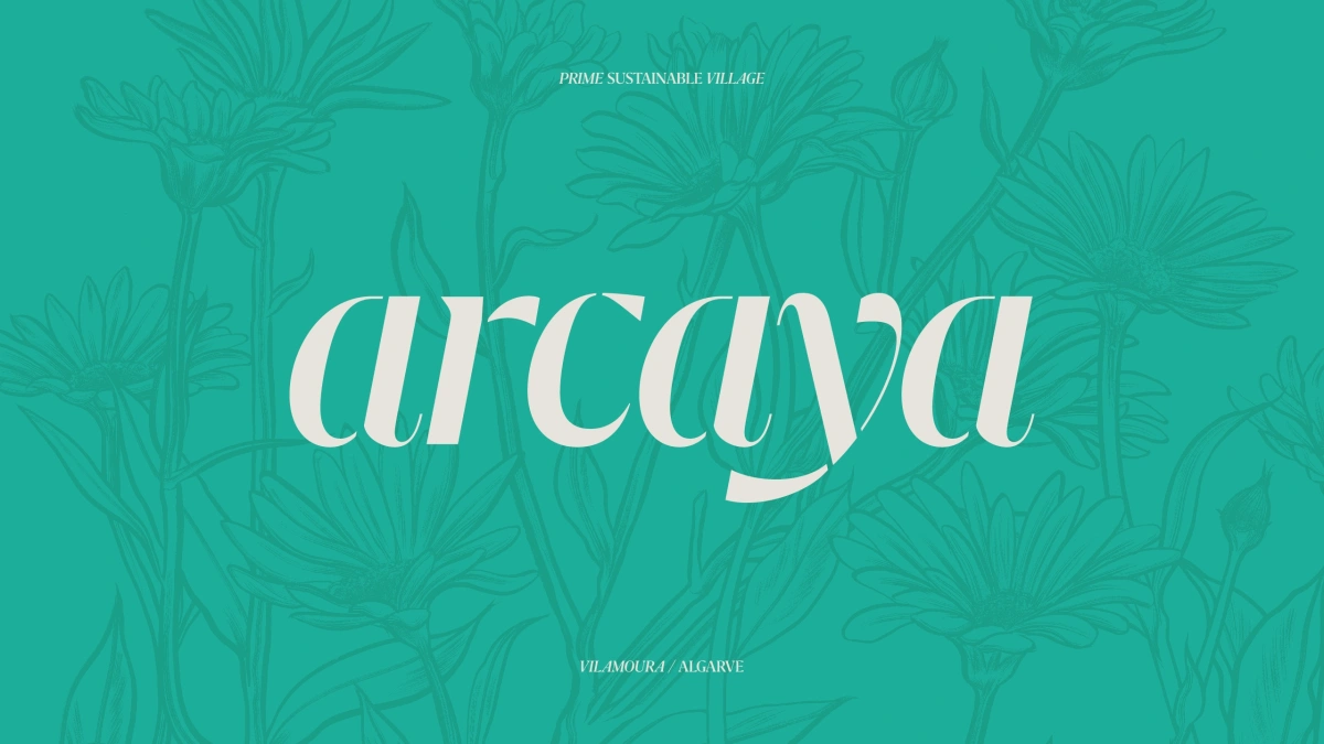 Born - Reason loves crazy